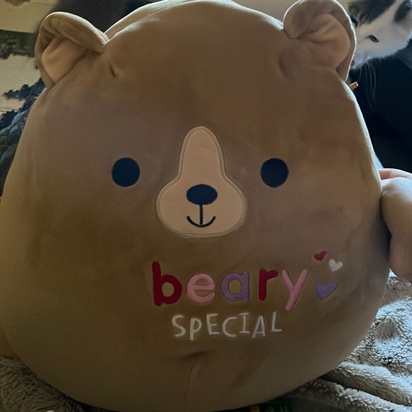 Squishmallows | Toys | I Am Selling 2 Bear Squishmellowno Original Name ...